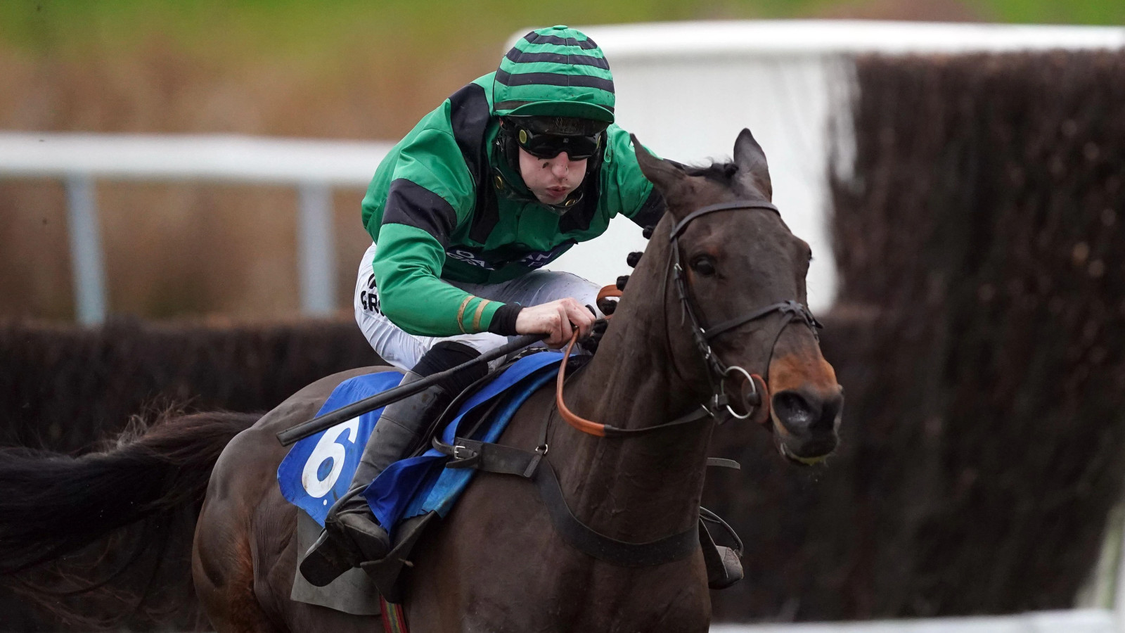 Arizona Cardinal out of Aintree's Grand Sefton