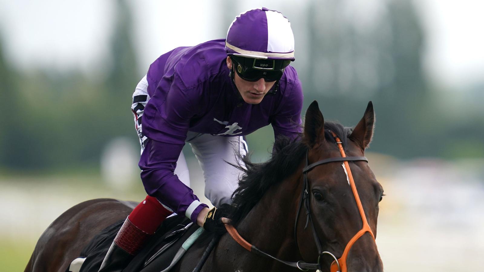 Mojo Star recovering but retirement beckons, Richard Hannon says ...