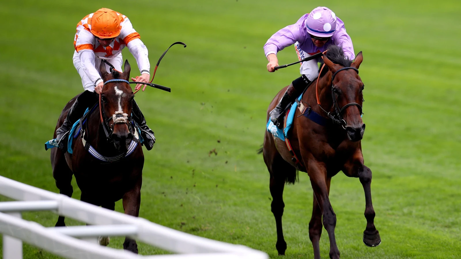 Goodwood racing tip (1650): Tried and tested Blazeon Five to excel in ...