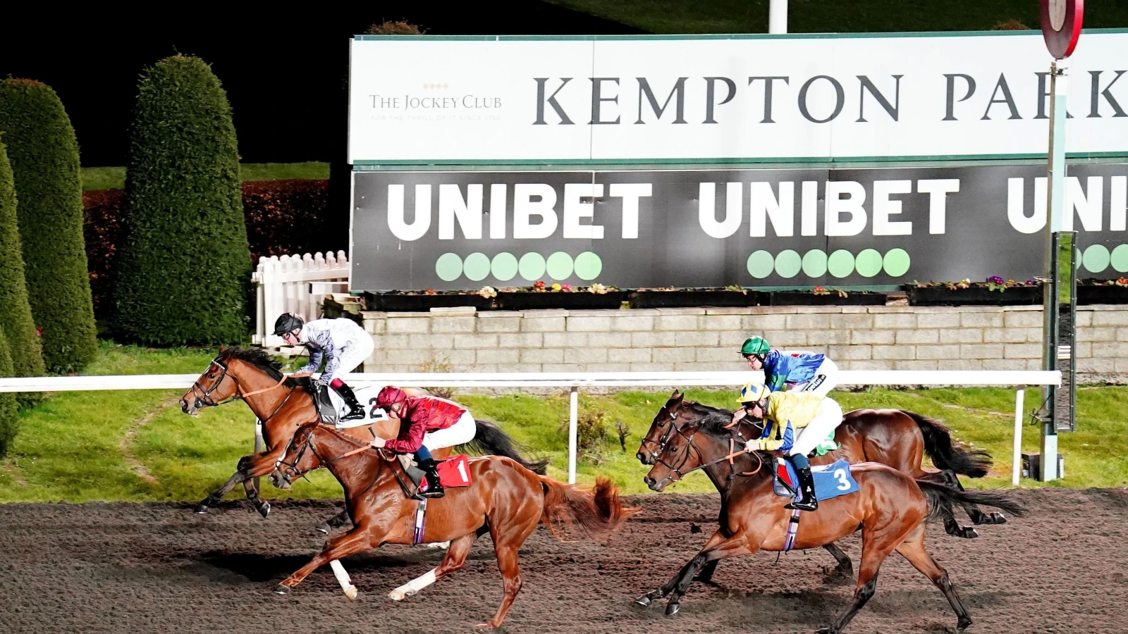 Kempton evening racing tips: Best bets for Wednesday, October 11