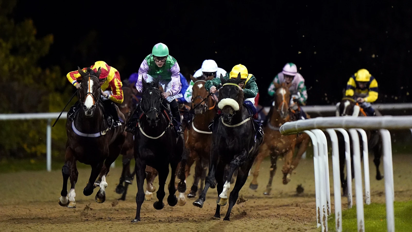 Wolverhampton racing tip: Angel Of Peace ready to shine on stable debut