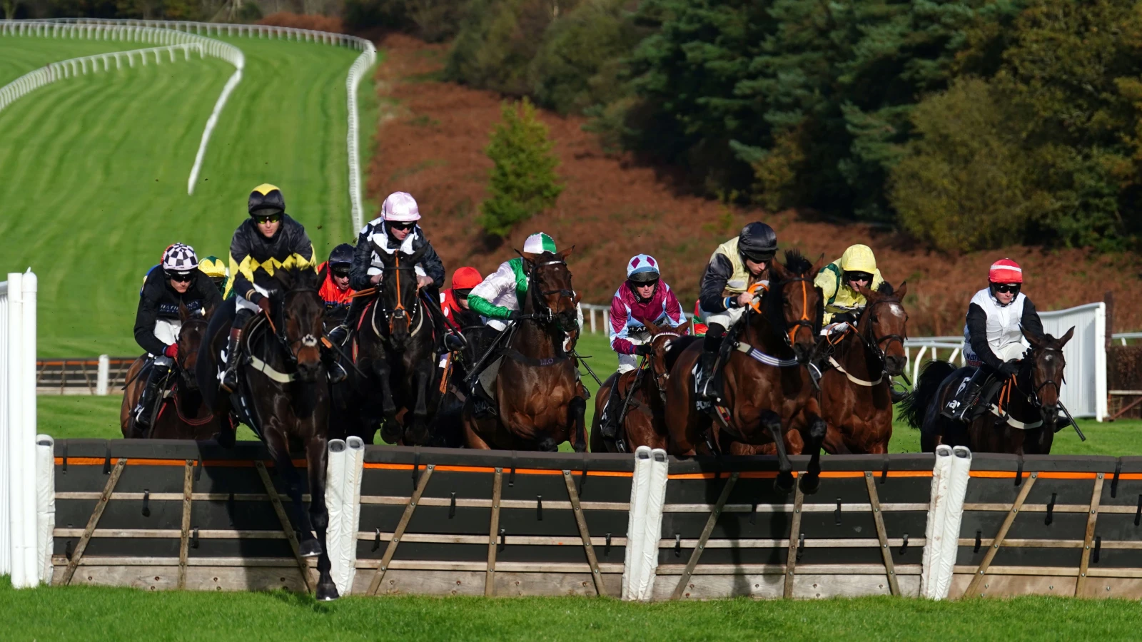 Exeter each-way tips: Only Fools poised to rush in, Call Me Sainte ...