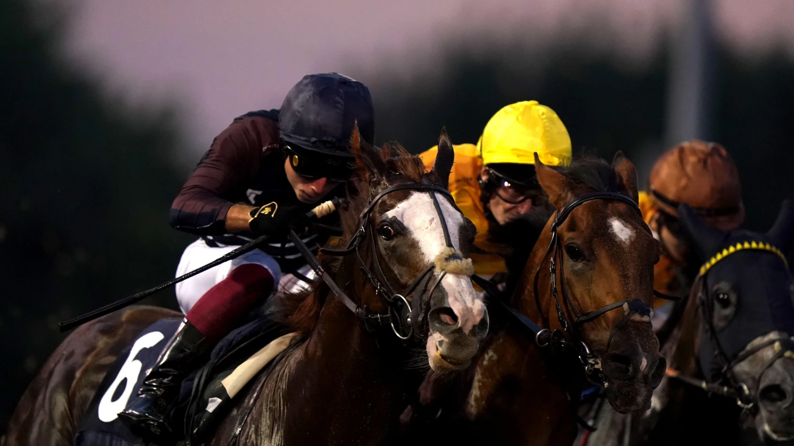 Wolverhampton racing tip (1930): Strong finish expected from Caesars Pearl