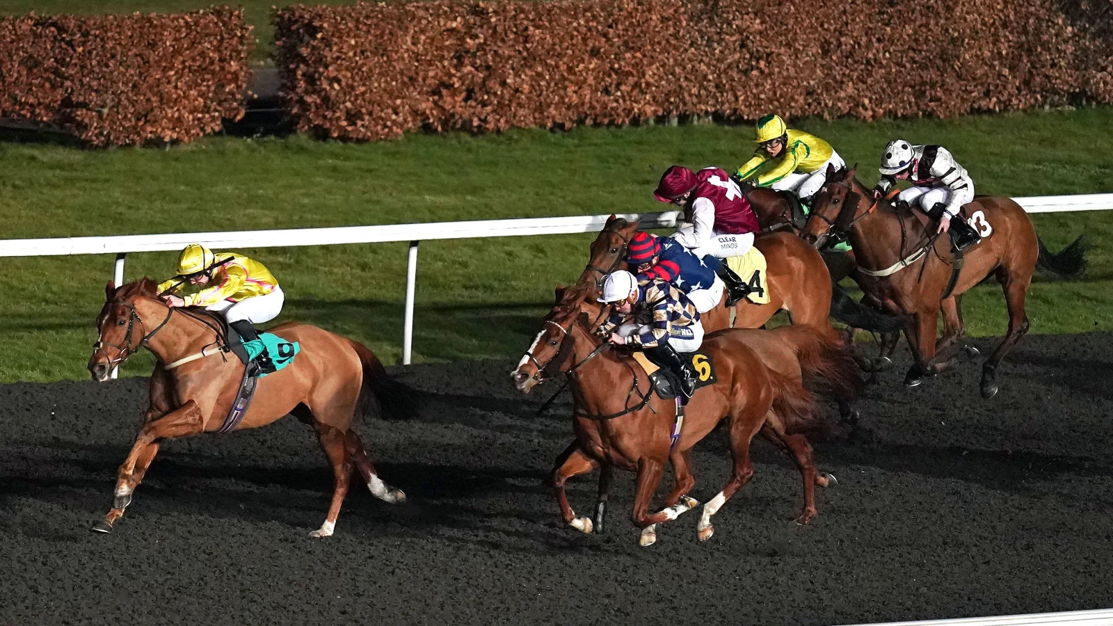 Kempton racing tip (2000): David Probert to ride another Polytrack winner