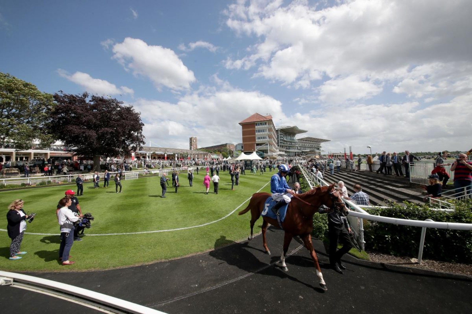 ITV Racing Tips for televised races at York's Ebor Festival on August ...