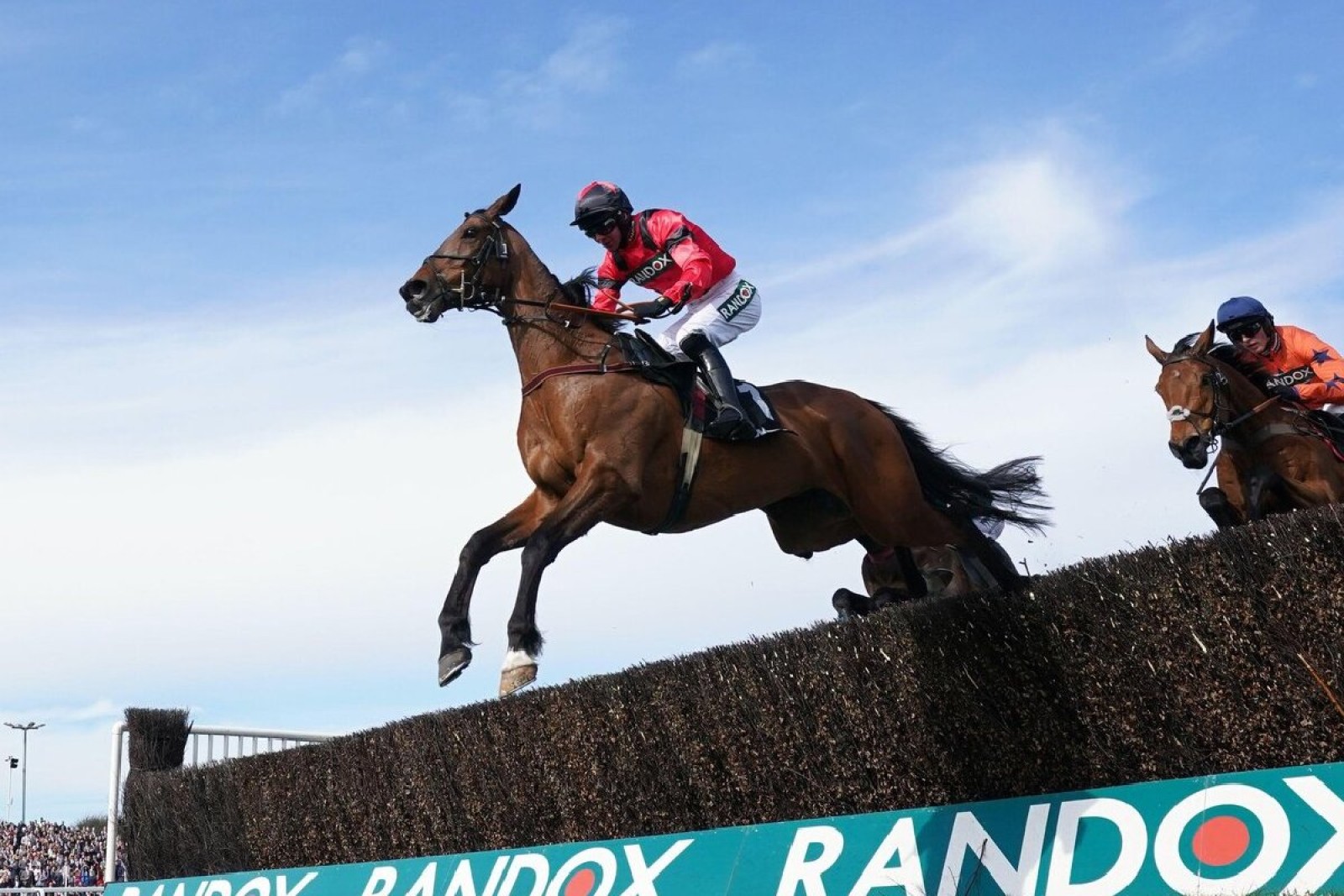 Ahoy Senor back in business as Cotswold Chase success puts him in ...