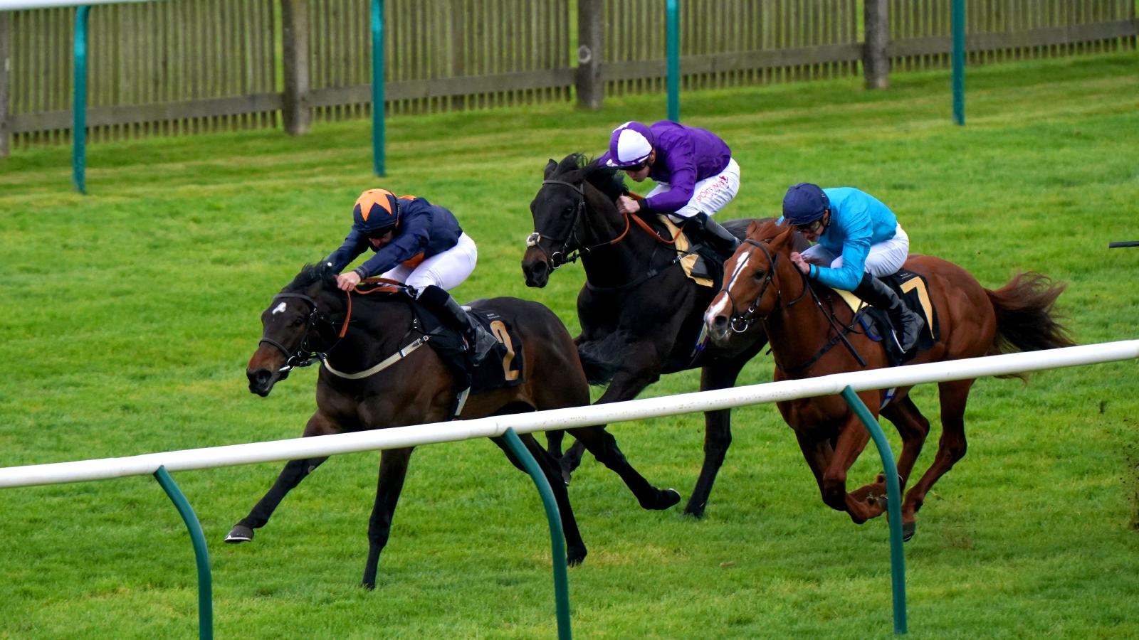 James Tate set to test Blue Storm at Sandown as he preps his team for ...