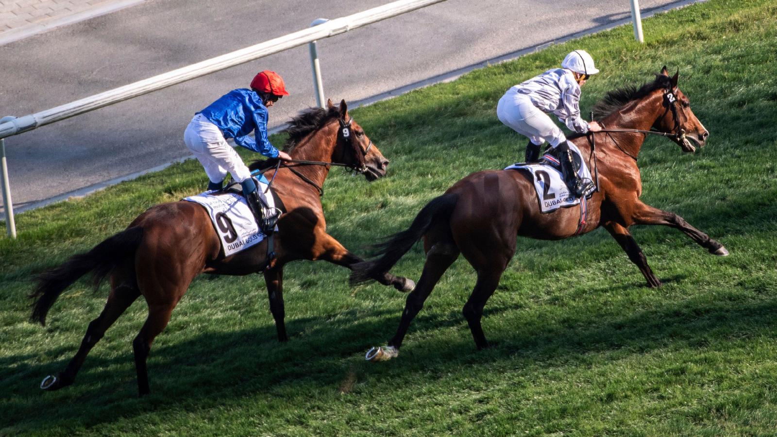 Aidan O’Brien looking to break Yorkshire Cup duck with Dubai Gold Cup ...