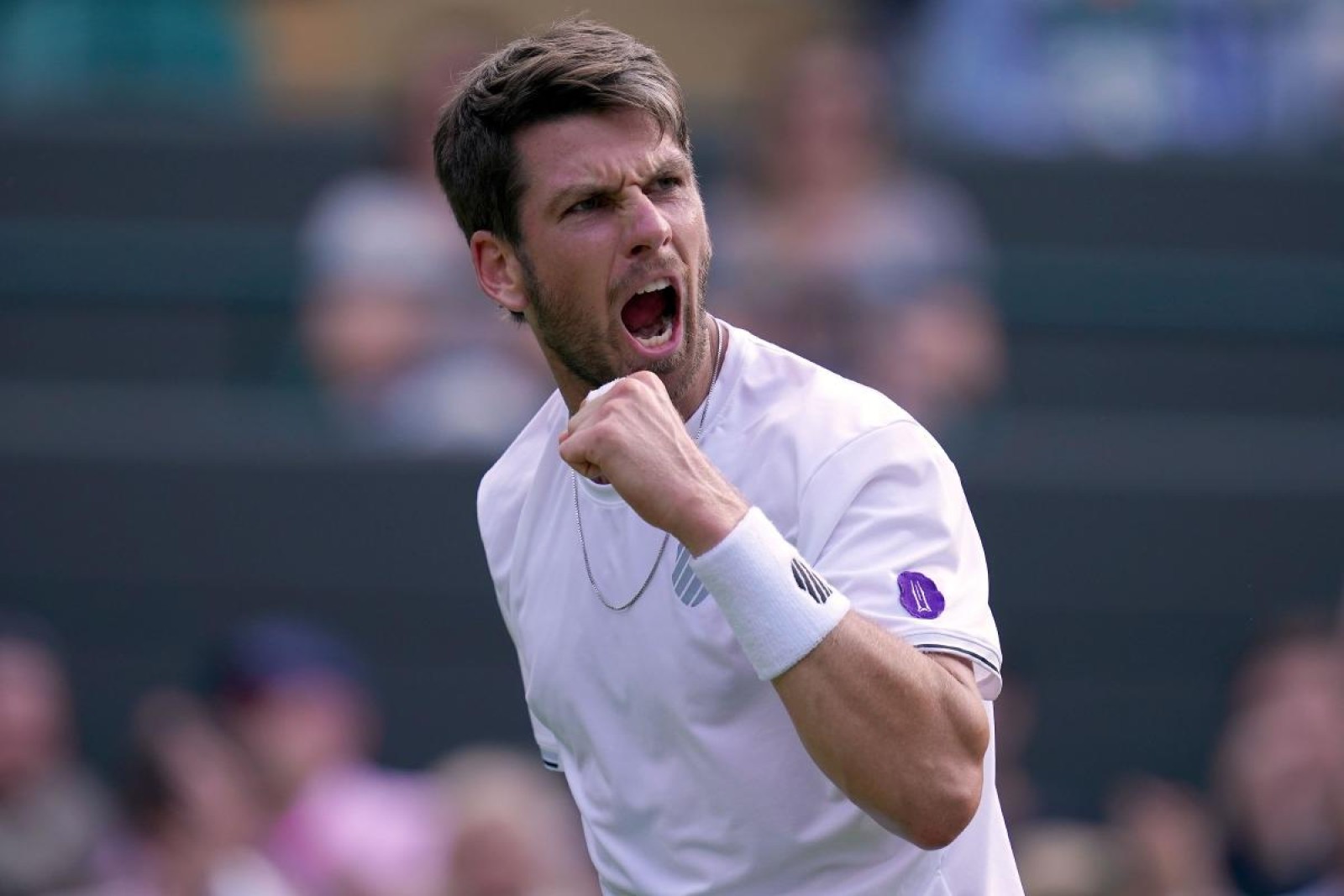 Cameron Norrie left flying British singles flag alone in US Open fourth ...