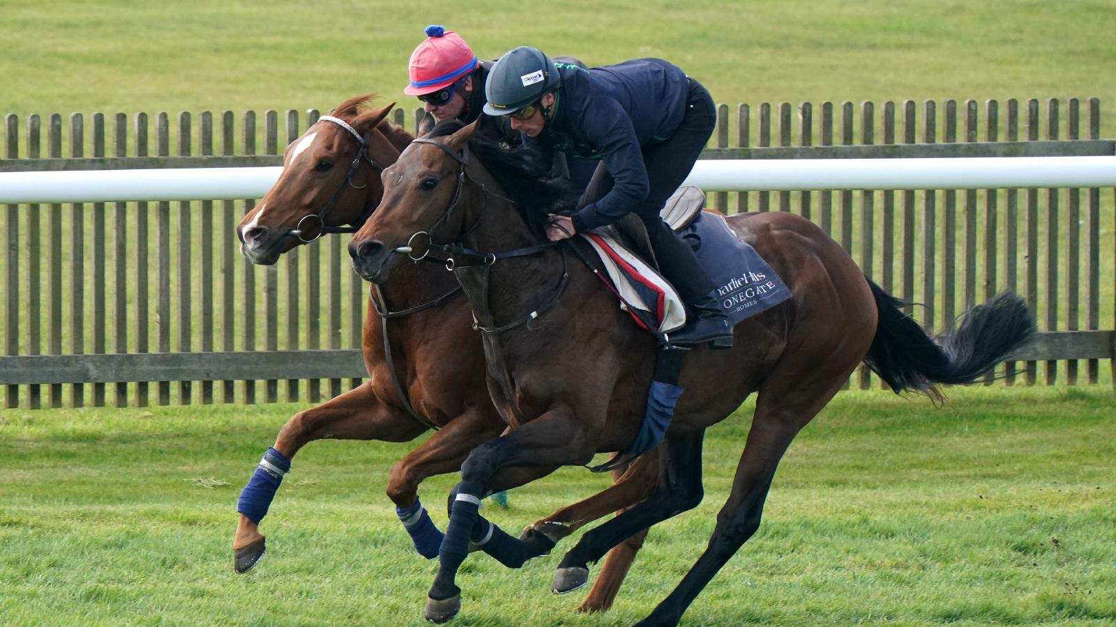 Royal Ascot: Cicero’s Gift makes St James’s Palace leap for trainer ...