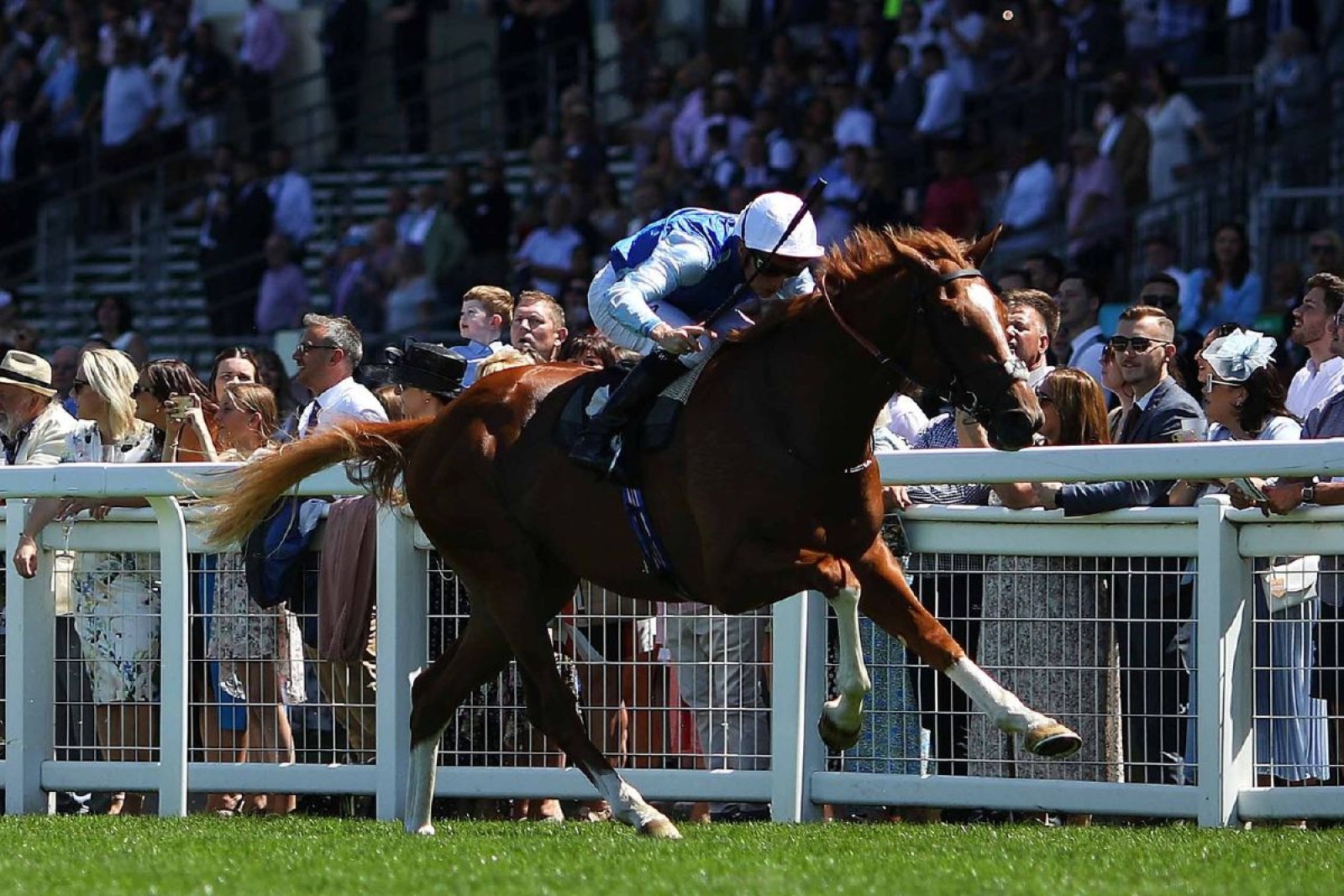 Peter Chapple-Hyam backing Defence Of Fort to shine at Horris Hill ...