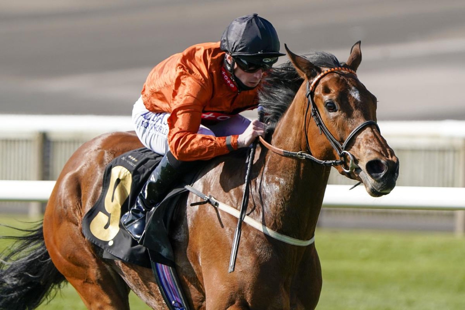 Saturday ITV Racing Tips: Best bets for Newbury, Ripon and Newmarket ...