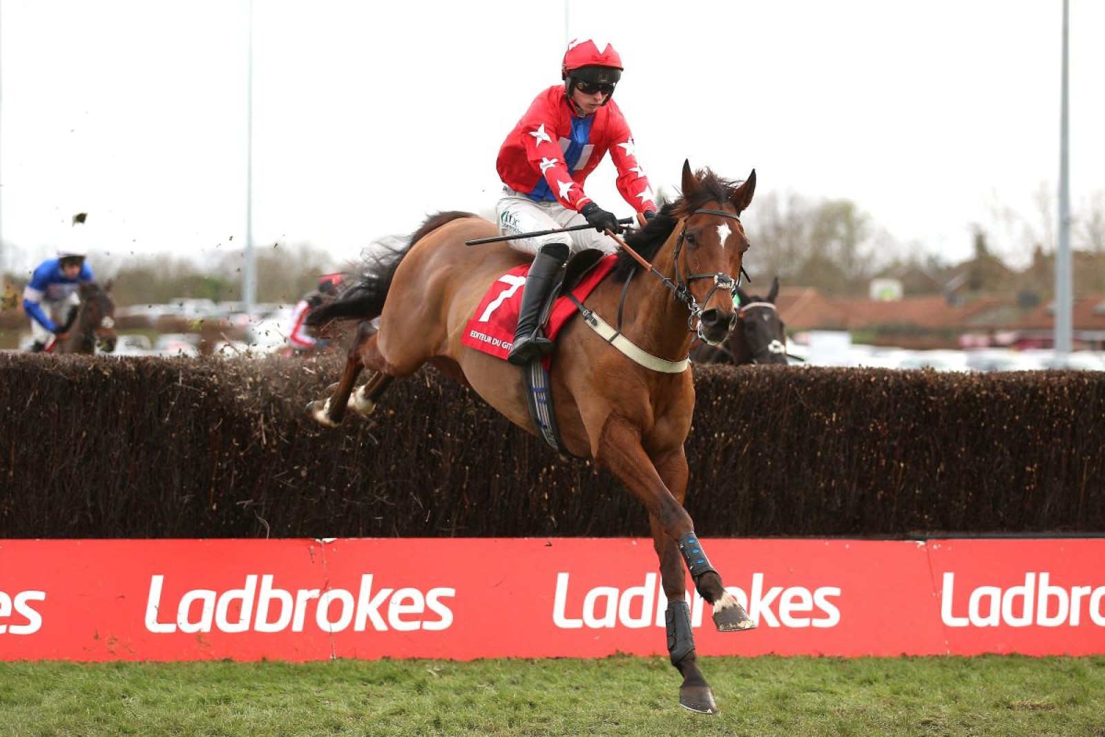 Gary Moore backs Editeur Du Gite to shine in the Queen Mother Champion ...