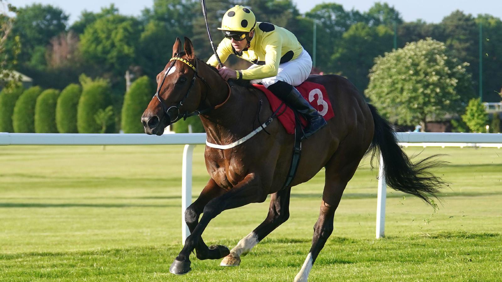 Karl Burke confident Elite Status will continue to dominate after ...