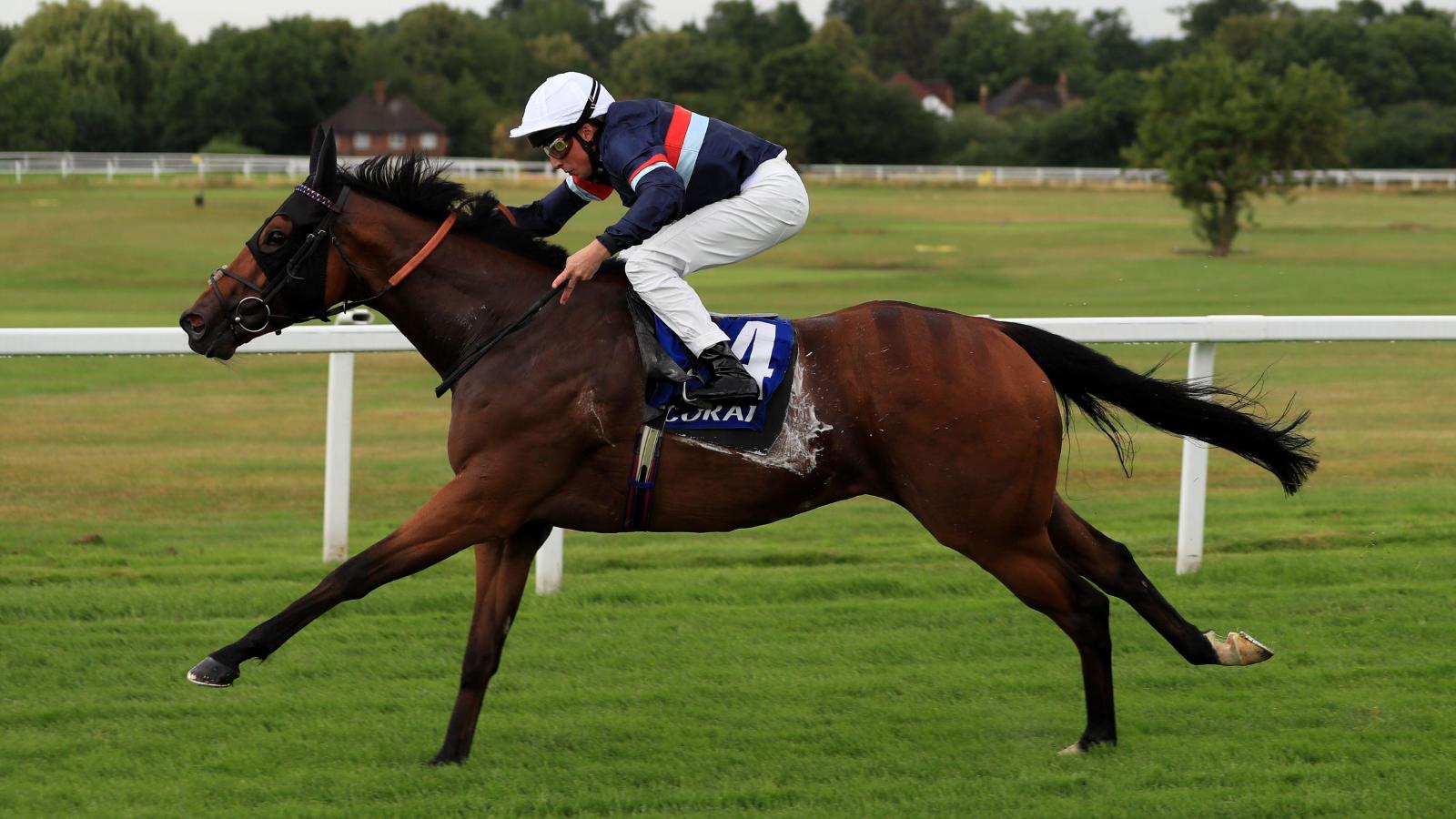 Equality brushes aside rivals to take Coral Charge victory at Sandown ...