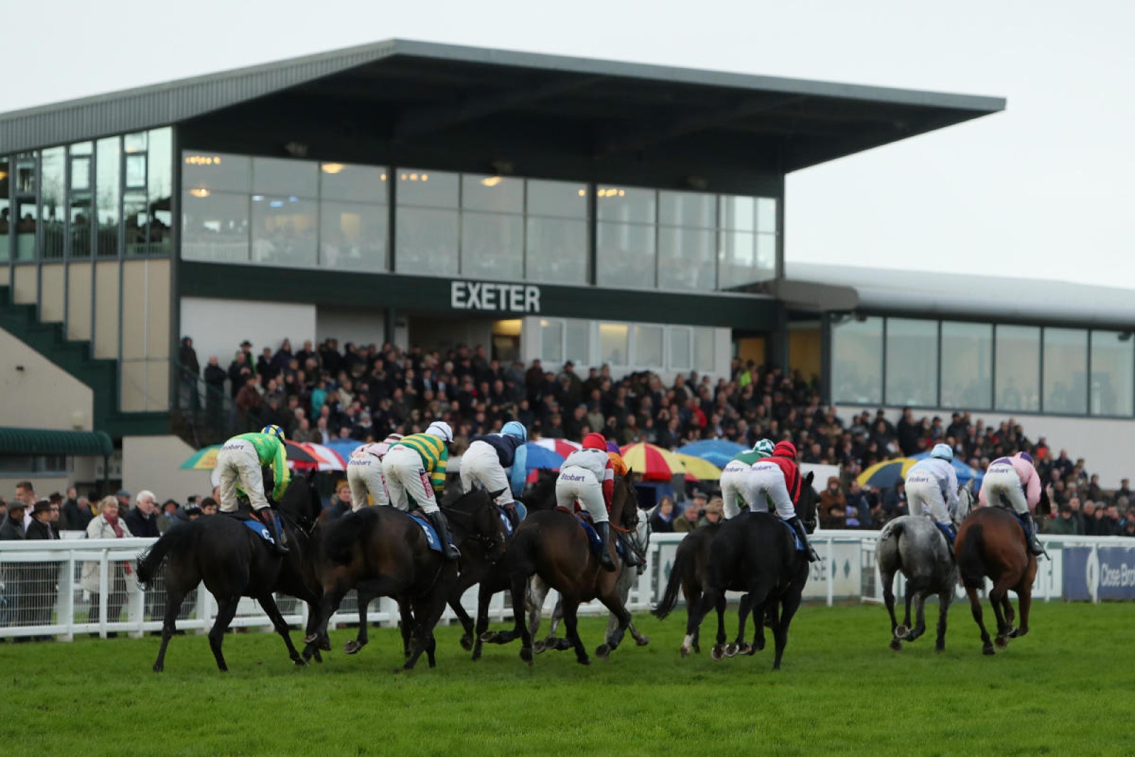 Friday racing tips for Lingfield, Warwick, Exeter, Dundalk and ...