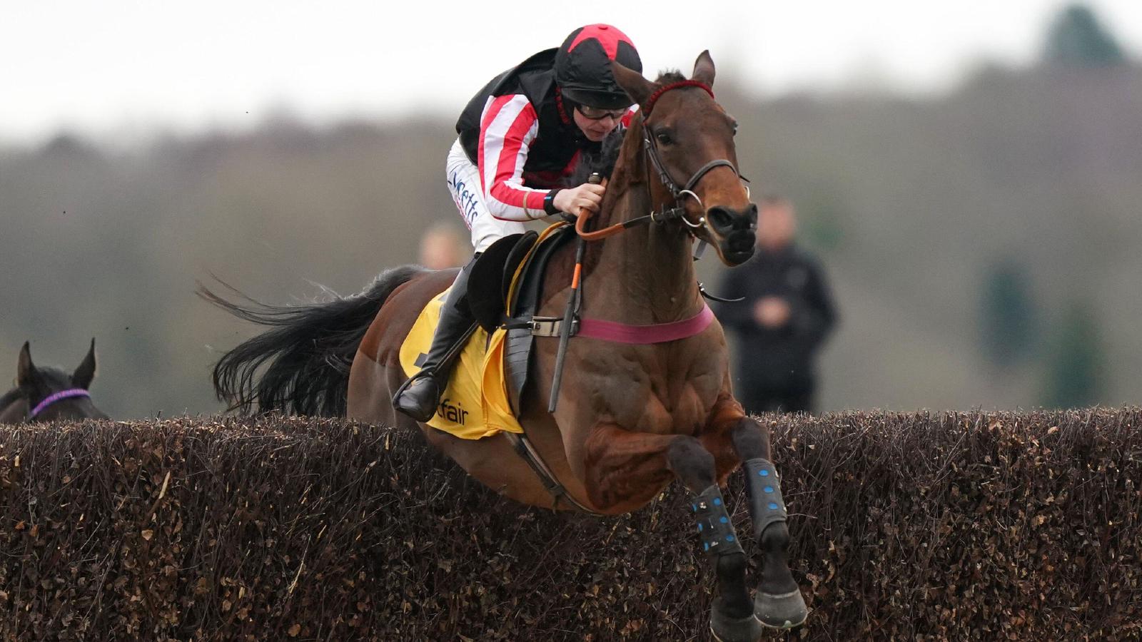 Funambule Sivola targets Champion Chase after defending Game Spirit ...