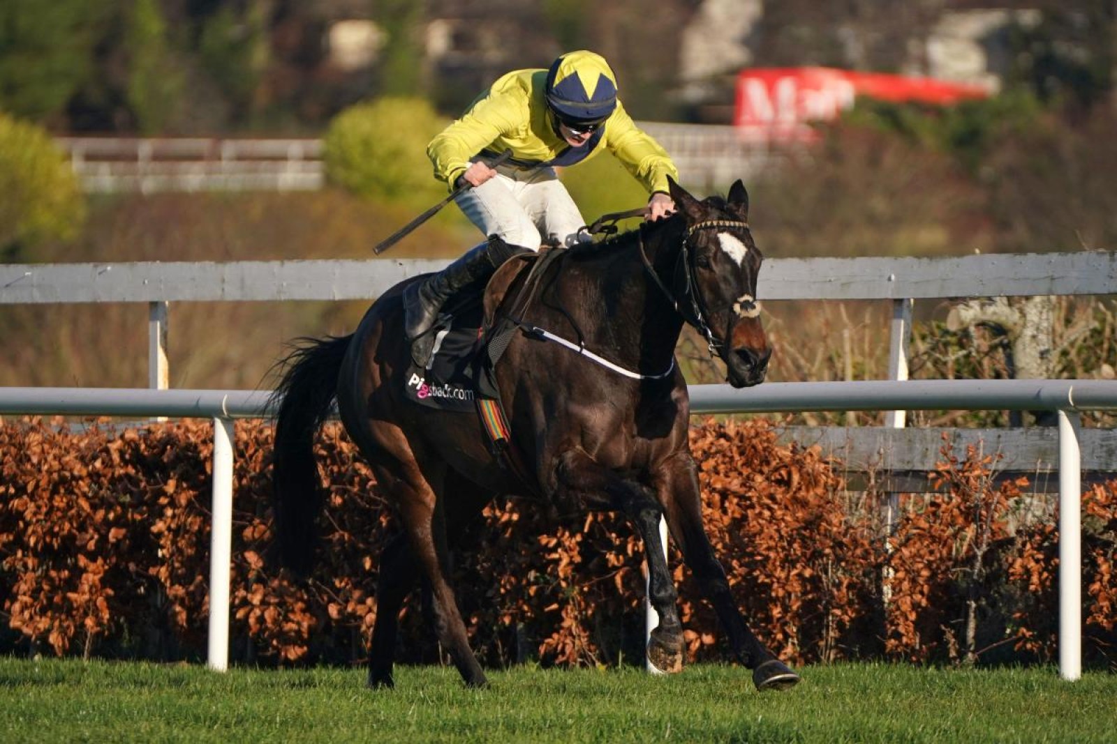 Good Land provides faultless performance for O’Connell at Leopardstown ...
