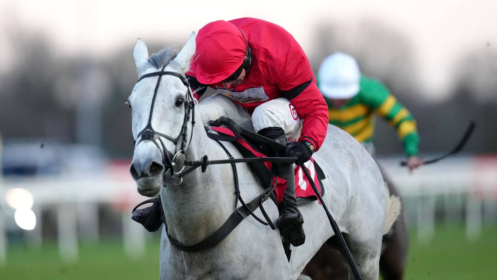 Grey Dawning stays in hunt for Cheltenham Festival with hard-fought ...