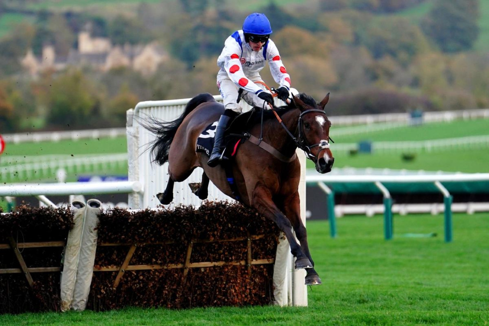 Hermes Allen on target in Ballymore Novices' Hurdle at Cheltenham ...