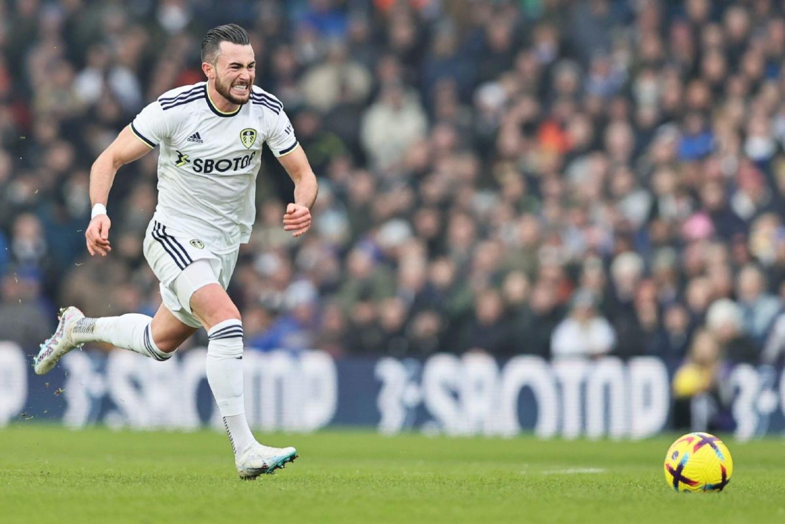 The #LUFC Breakfast Debate (Wednesday 1st February) - Whites reject ...