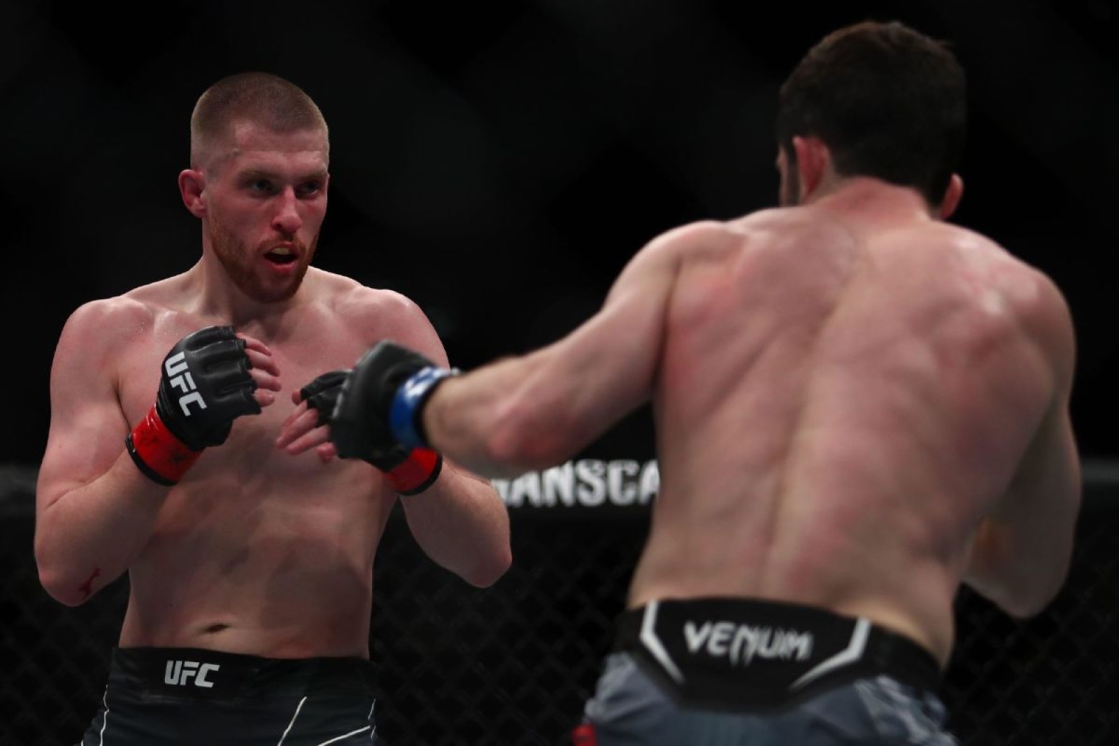 Exclusive: Jack Shore backs bantamweight rival to come out on top at ...