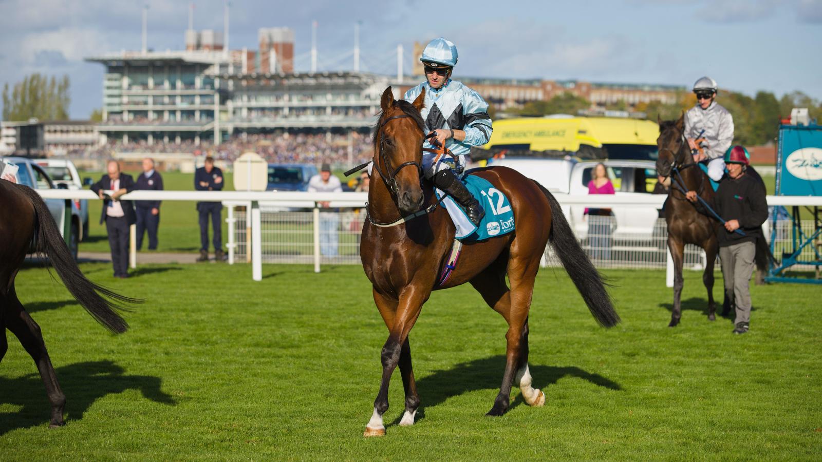 Modesty's team planning steady return to action with a low-key run at ...