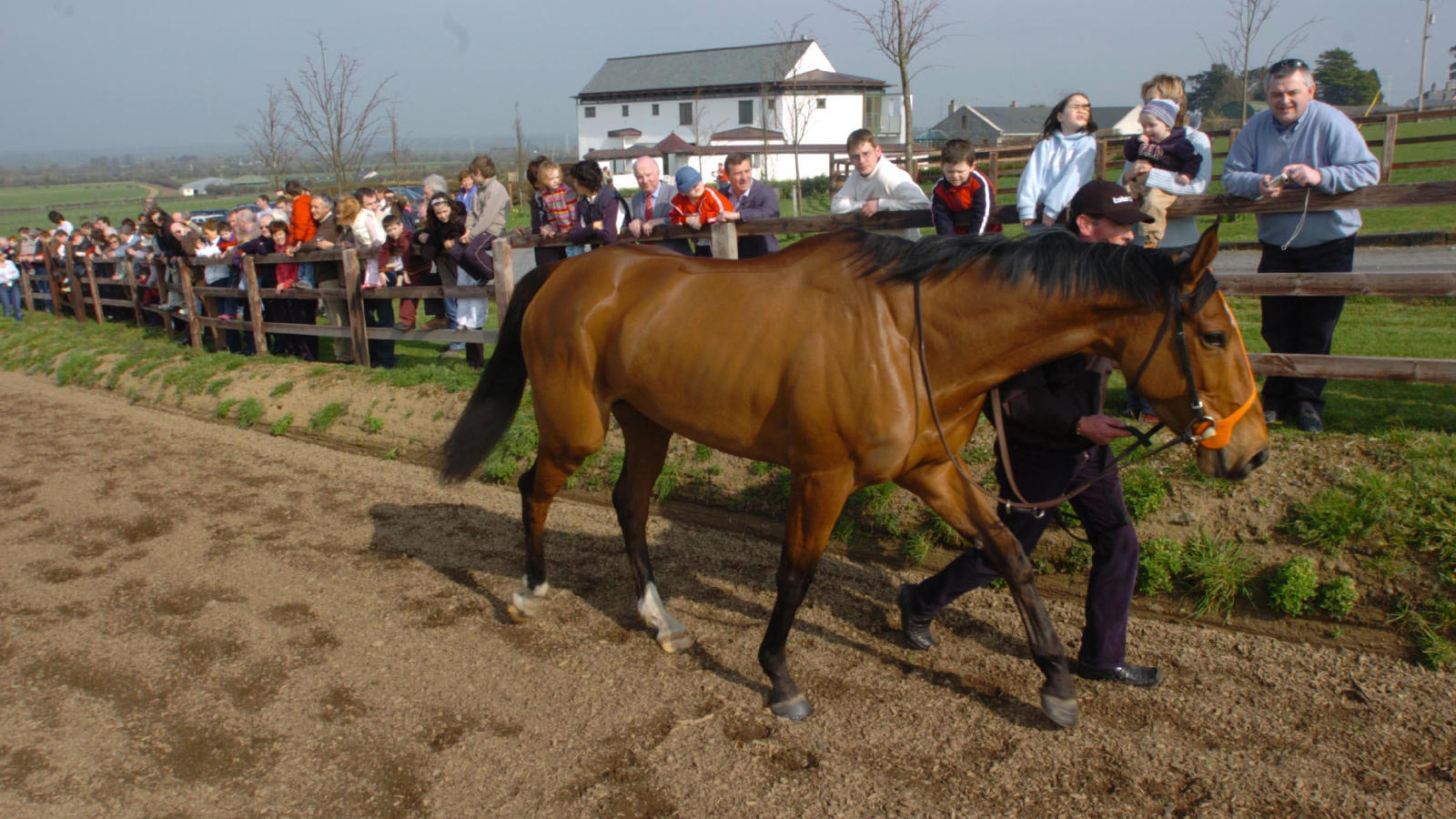 Irish National Stud announce the unfortunate passing of Cheltenham Gold ...