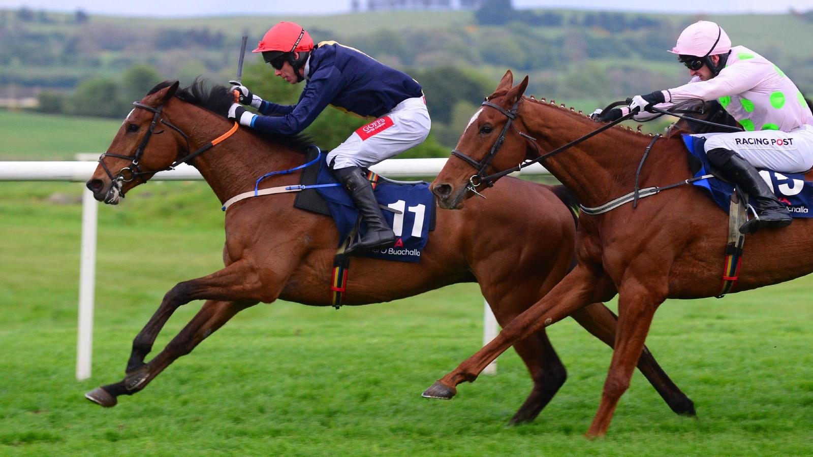 Longhouse Poet trainer Martin Brassil faces anxious wait over JJ Slevin ...