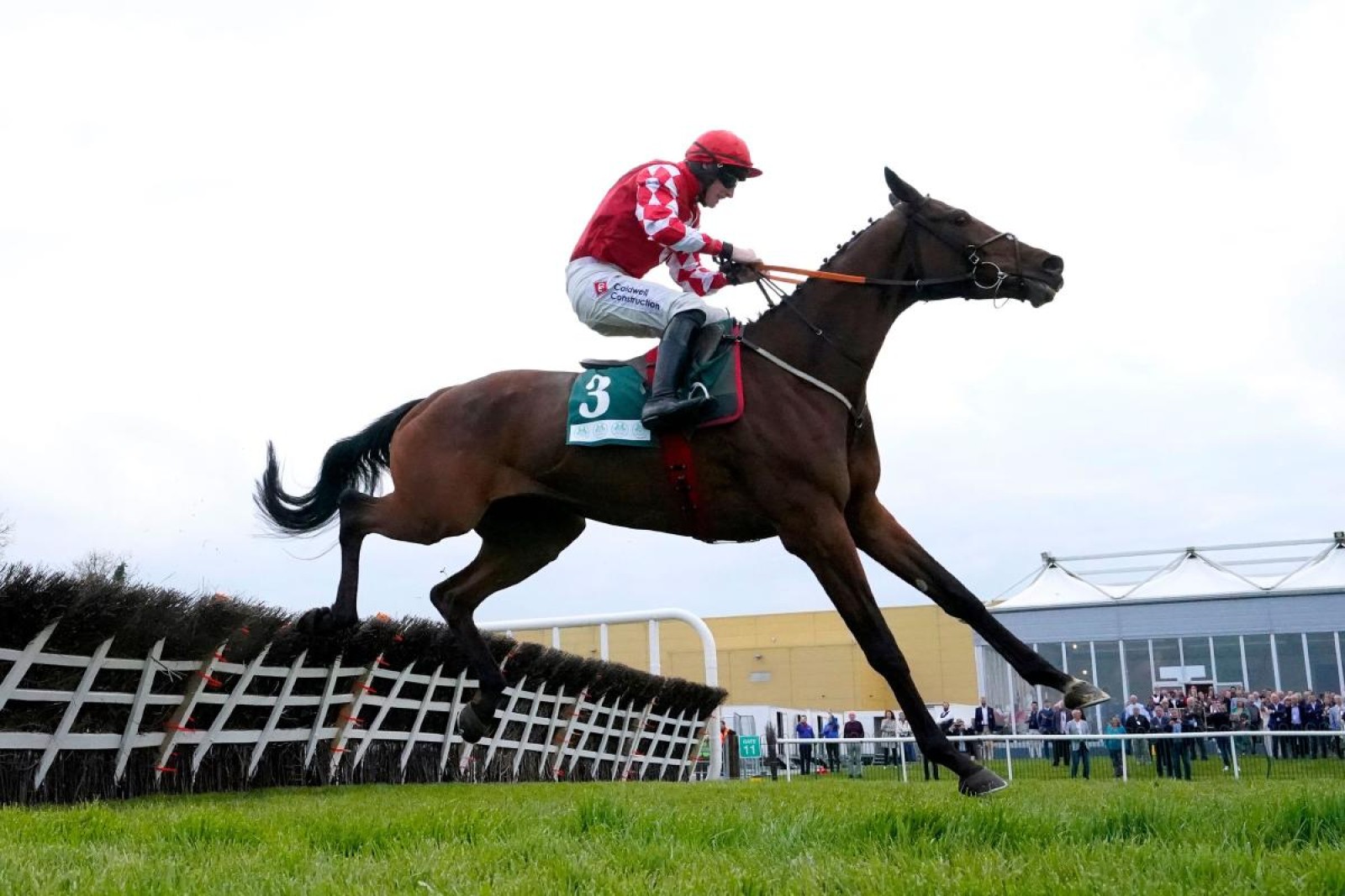 Mighty Potter set to make fencing debut at the Ladbrokes Festival at ...