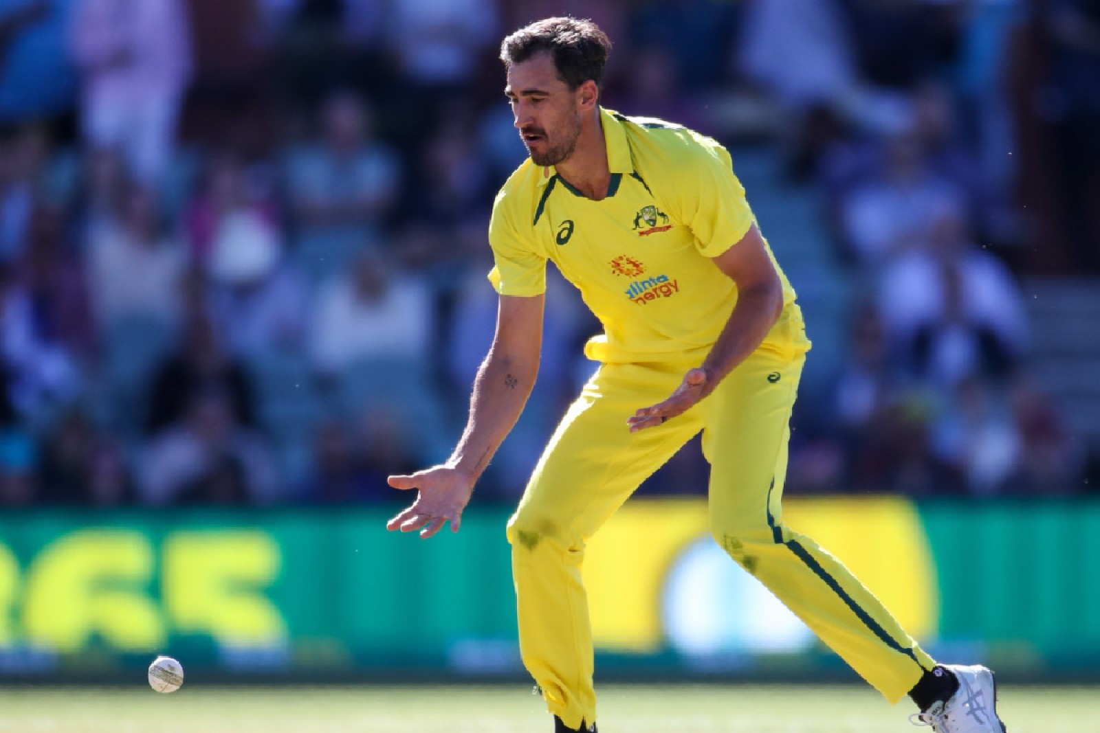 Mitchell Starc the latest to slam cricket's congested schedule ...