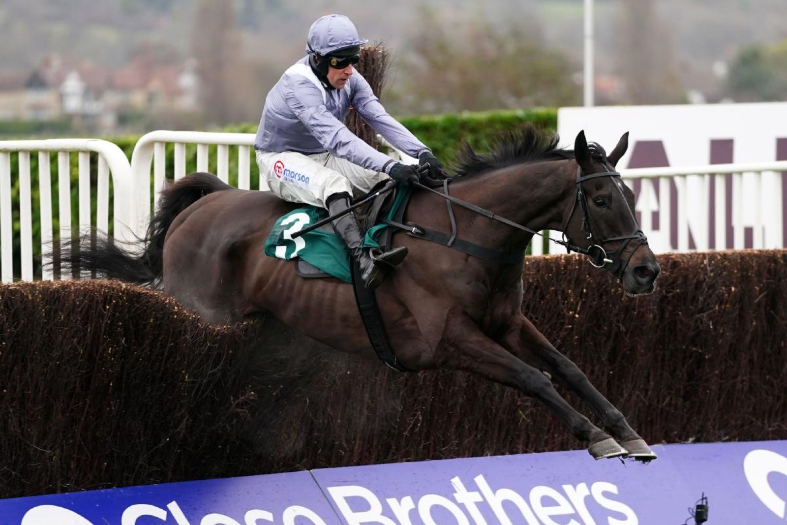 Possible spring return for My Drogo | PlanetSport