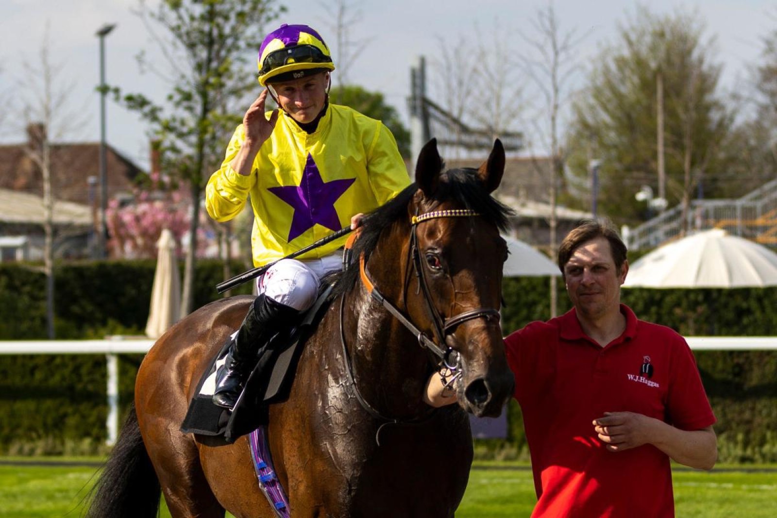 My Prospero has impressed trainer William Haggas ahead of Champion ...