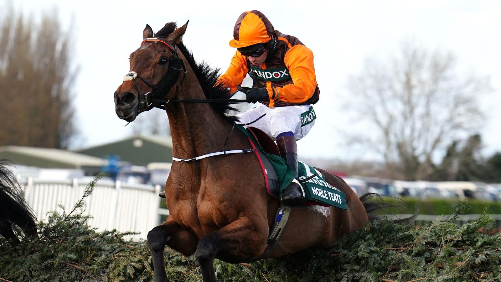 Cotswold Chase could be next outing for Noble Yeats after vaccination ...