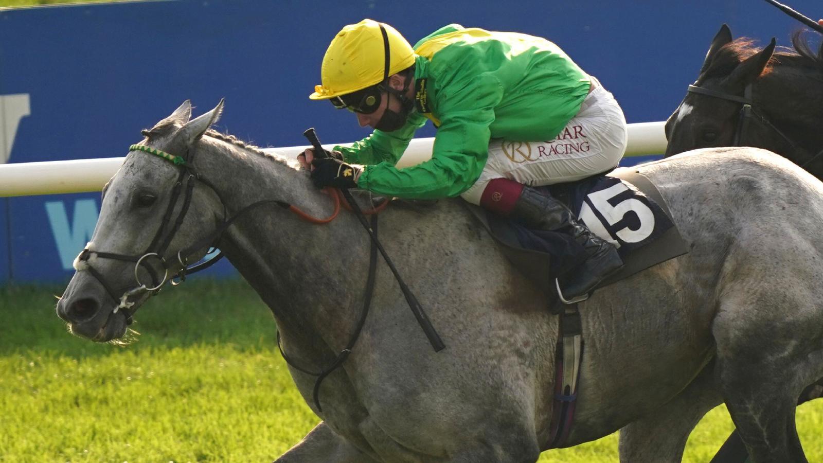 Buzz bows out after successful racing career | PlanetSport