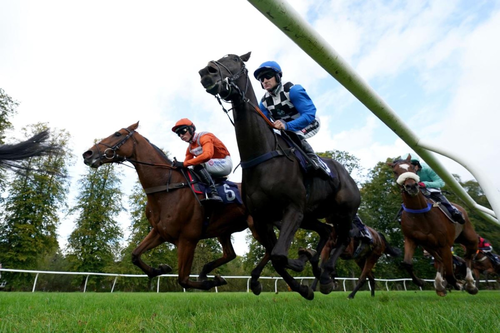 Paul Nicholls and Harry Cobden seal Kempton double | PlanetSport