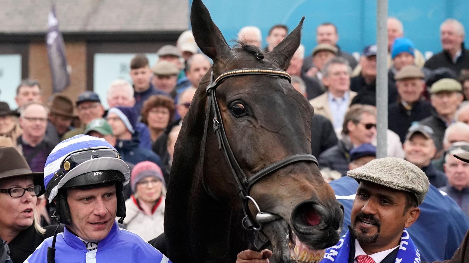 Energumene digs deep to fend off Chacun Pour Soi in cracking Champion ...