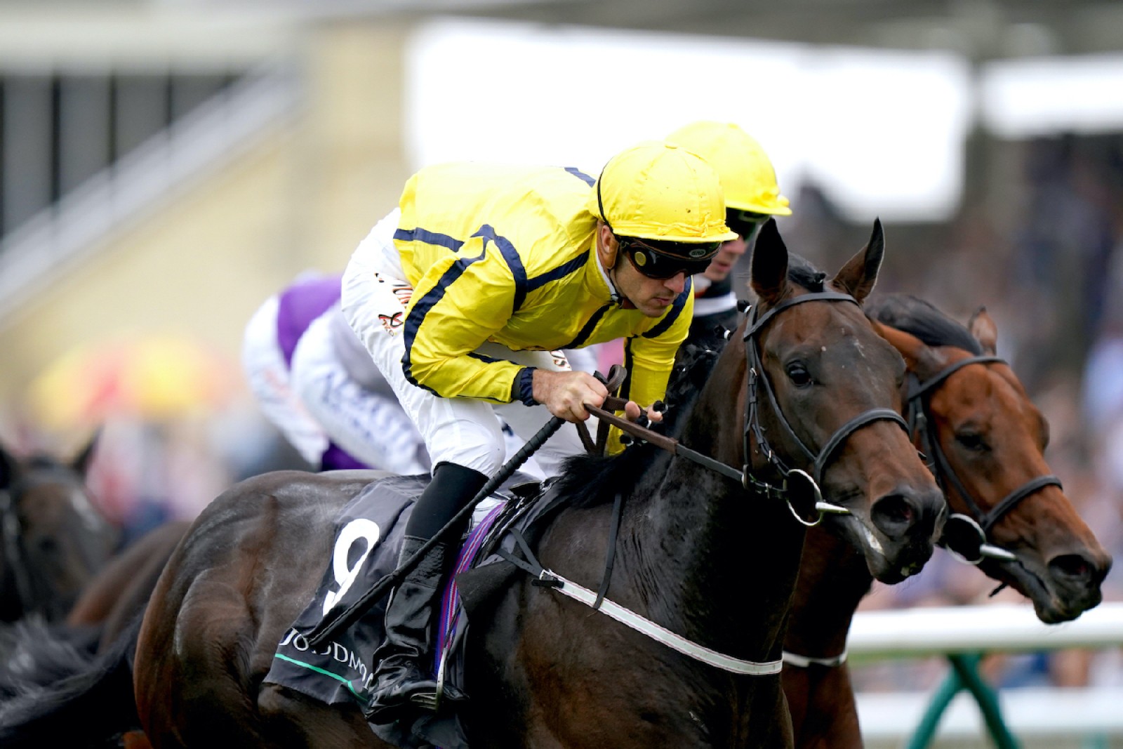 Richard Fahey: Perfect Power has been a fantastic horse for us ...