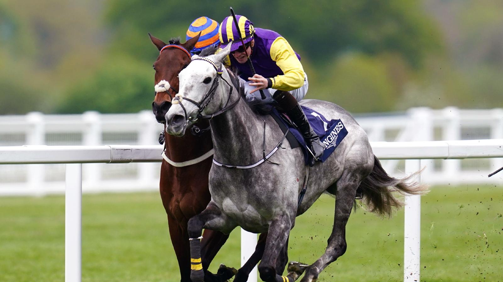 Tony Mullins hands Princess Zoe latest jumps assignment at Fairyhouse ...