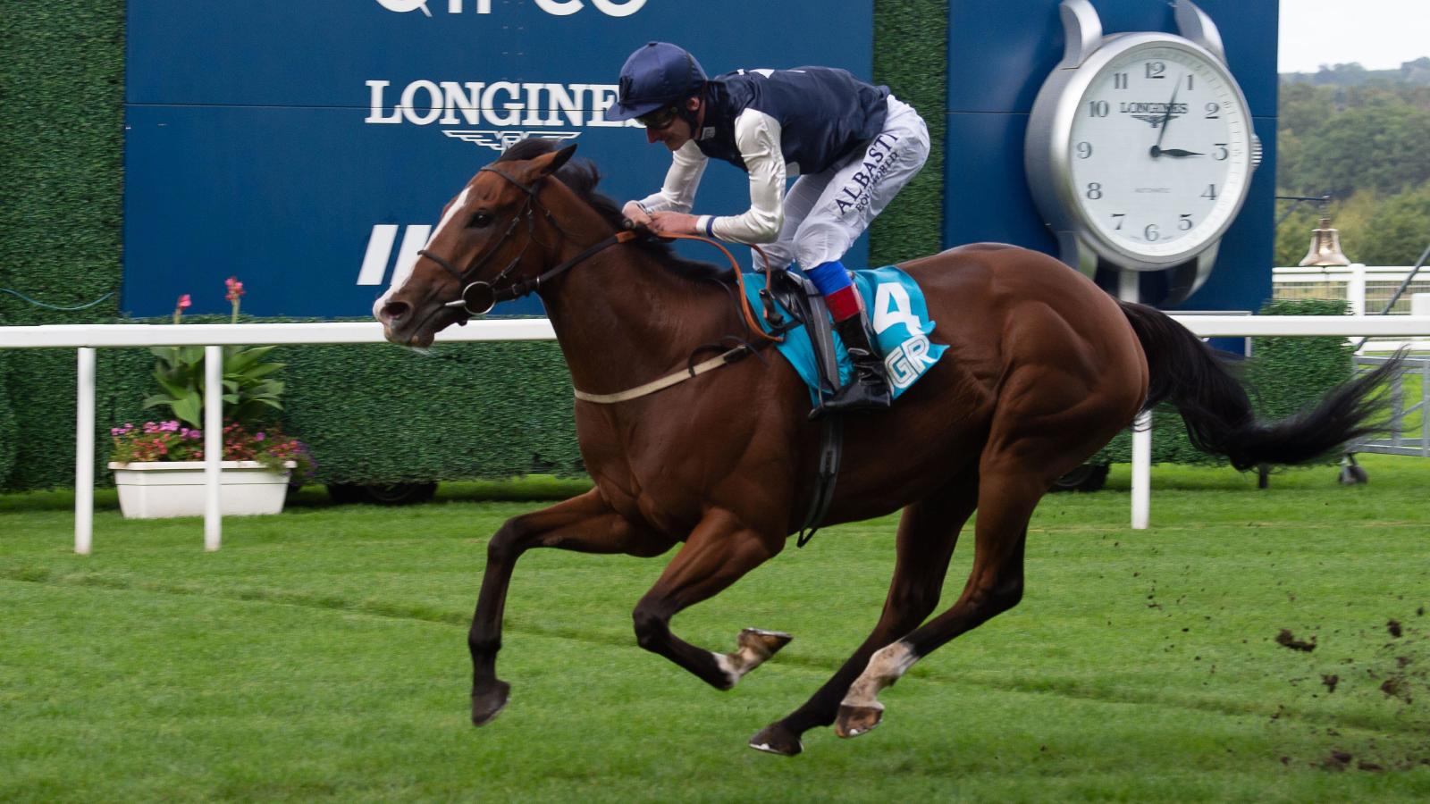 Rohaan connections hoping for better luck at Royal Ascot | PlanetSport