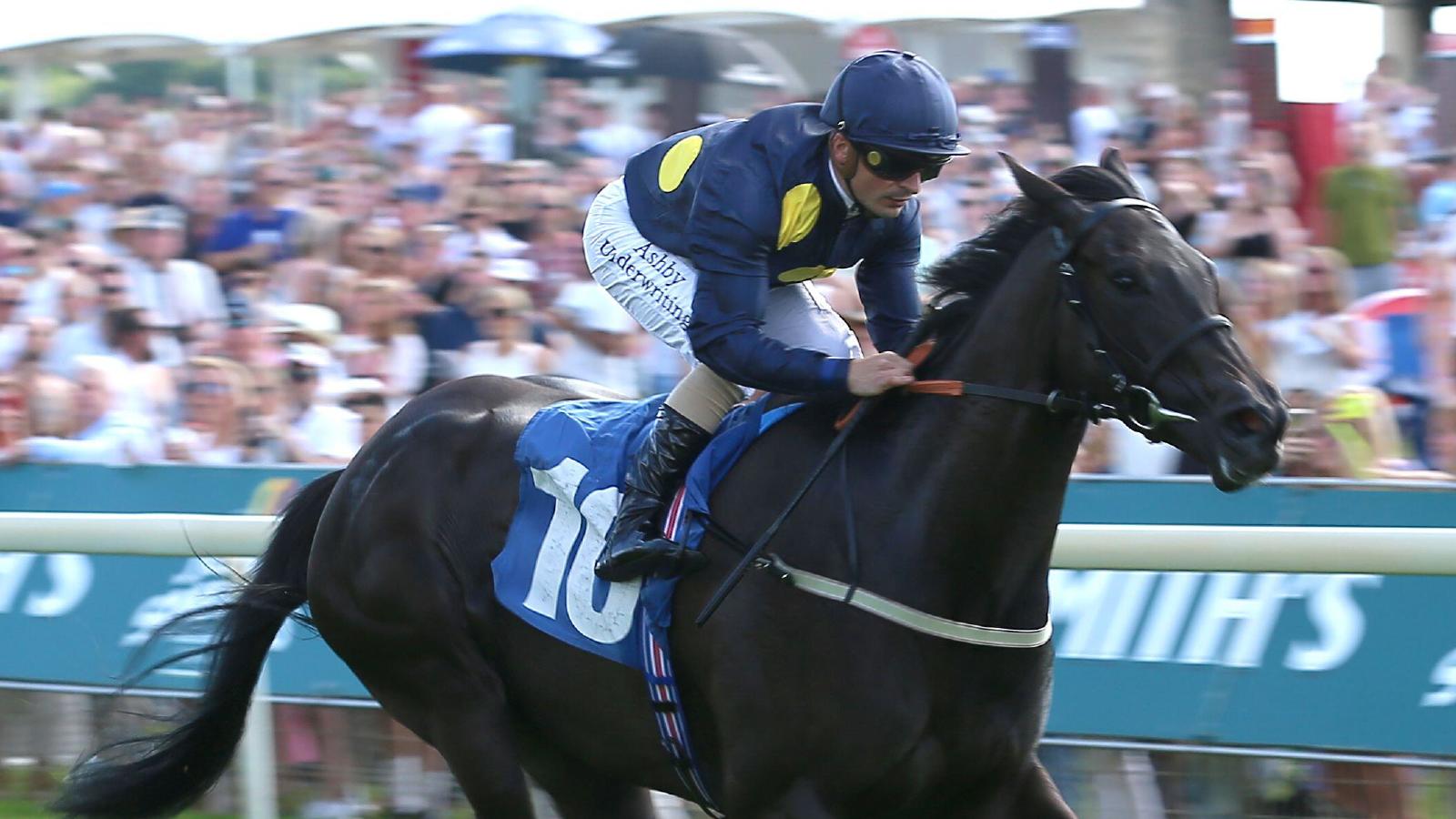 Royal Aclaim could be aimed at six furlong contest in May | PlanetSport