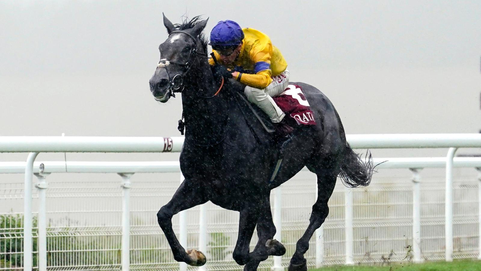 Qatar Lillie Langtry Stakes: Sumo Sam pulls off huge Goodwood shock ...