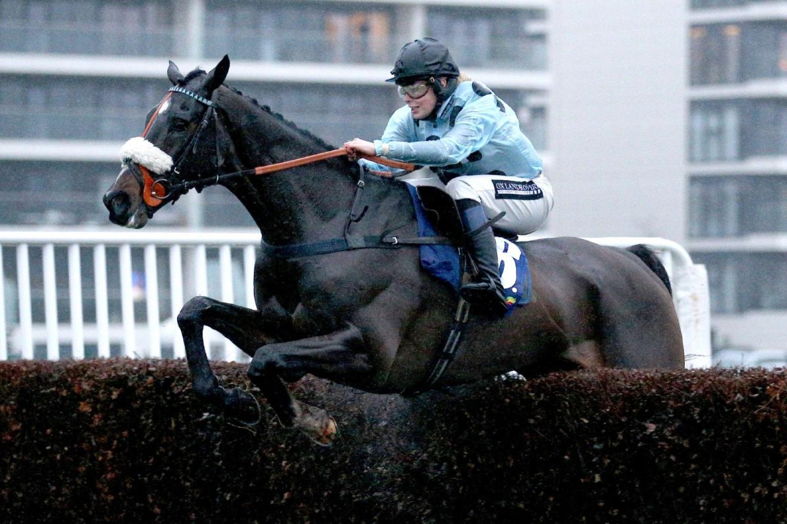 Tea For Free out for season after Doncaster fall | PlanetSport