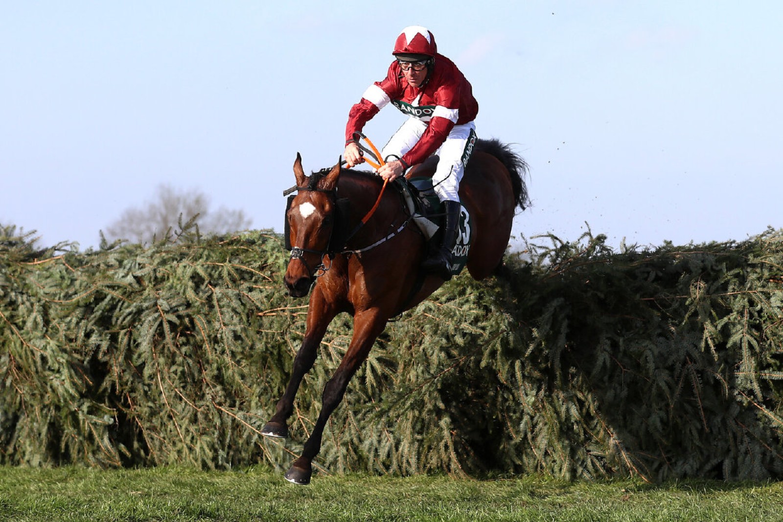 Grand National star Tiger Roll to be inducted into Cheltenham Hall of ...