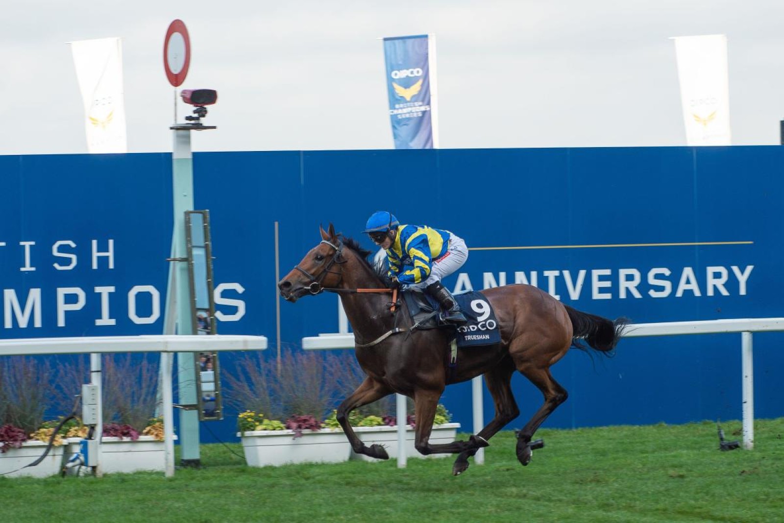 Trueshan scores again in British Champions Long Distance Cup | PlanetSport