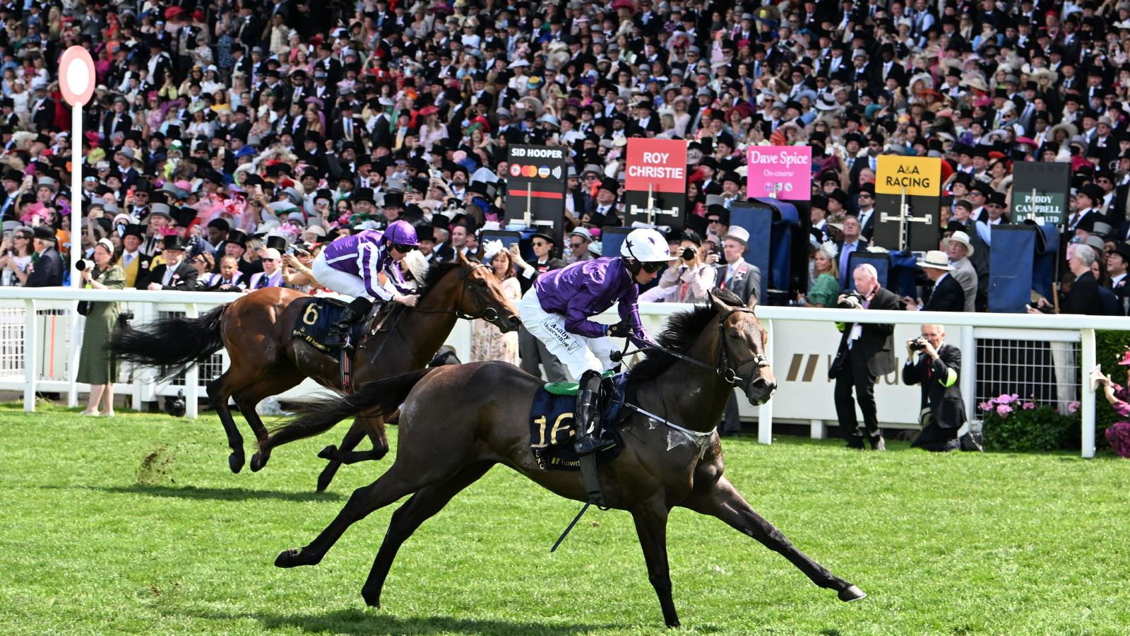 Adrian Murray has his sights set on Breeders' Cup glory with Valiant ...