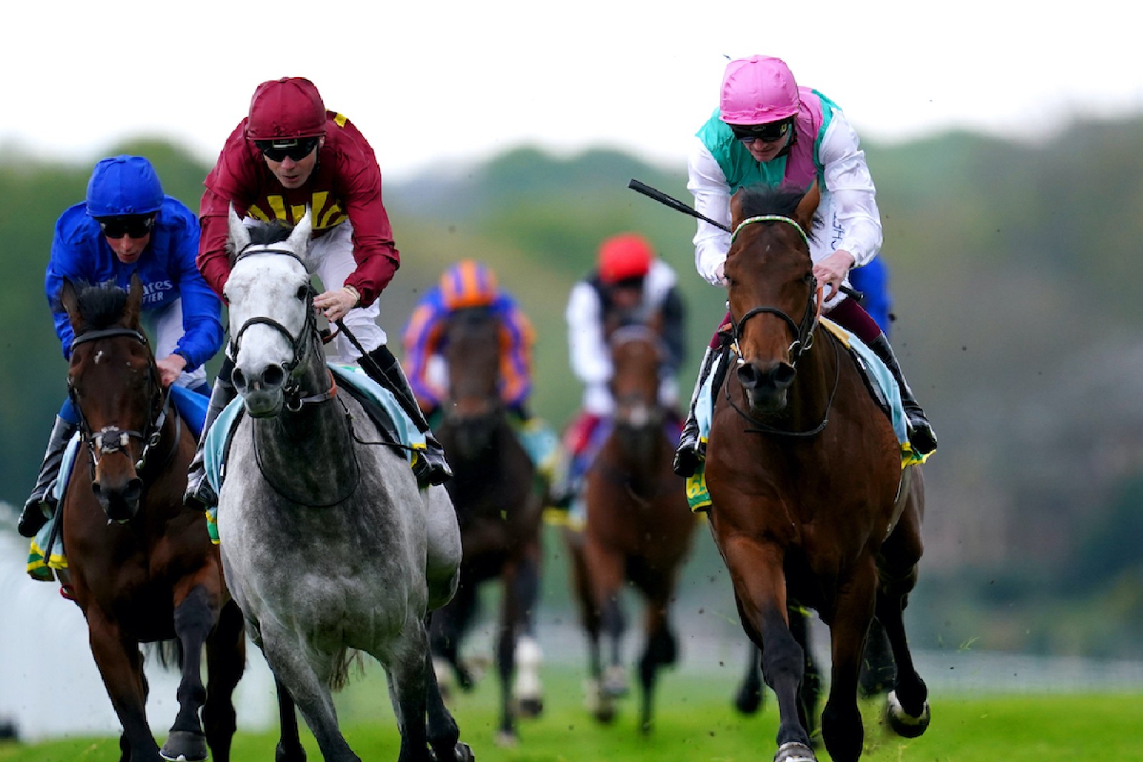 Big guns line up for Saturday's King George at Ascot | PlanetSport