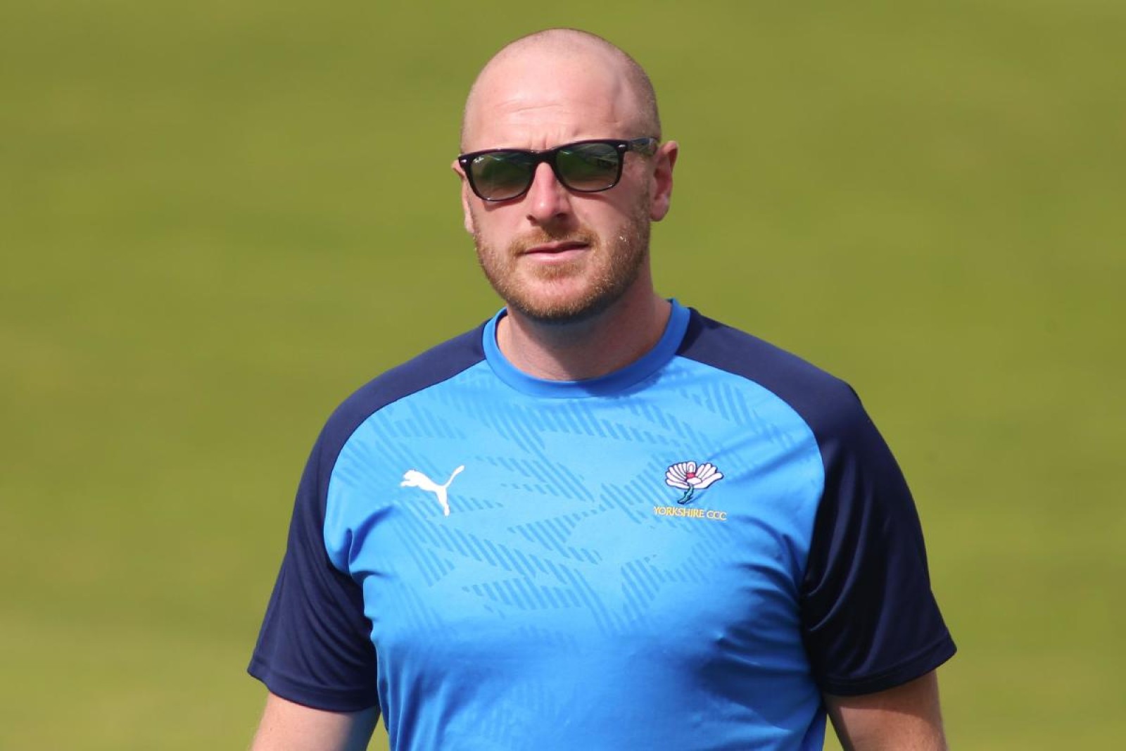 Former Yorkshire boss Andrew Gale wins ‘unfair dismissal’ case against ...