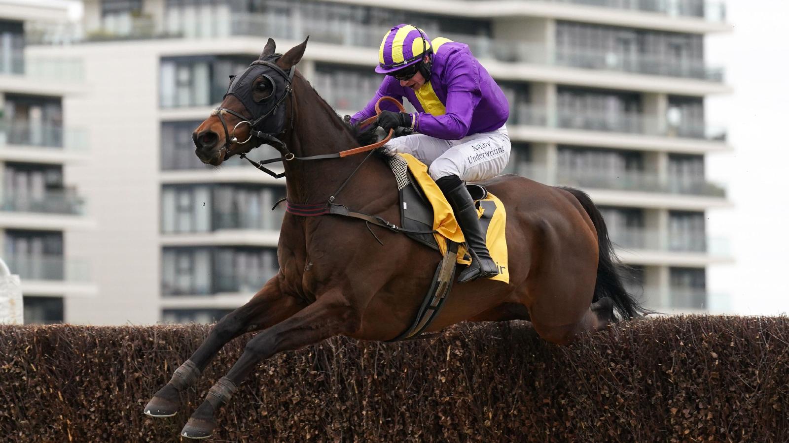Andy Gibson's big race review: Fallout from the Denman Chase at Newbury ...