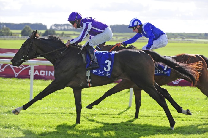 High Definition gearing up for Irish Derby at the Curragh | PlanetSport